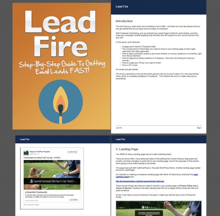 Build an Opt-In Offer with the Perfect Lead Magnet: Here’s How
